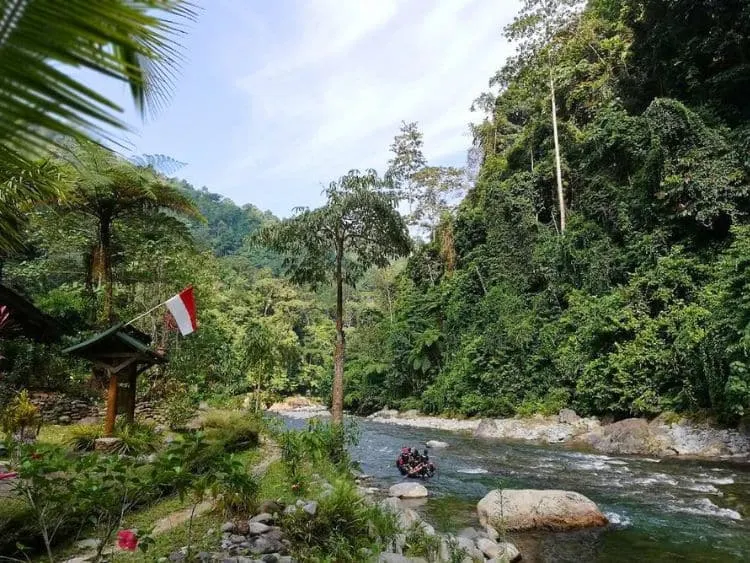 Scenic Private Bukit Lawang Trekking Tour from Medan 2026 | Mam Holidays